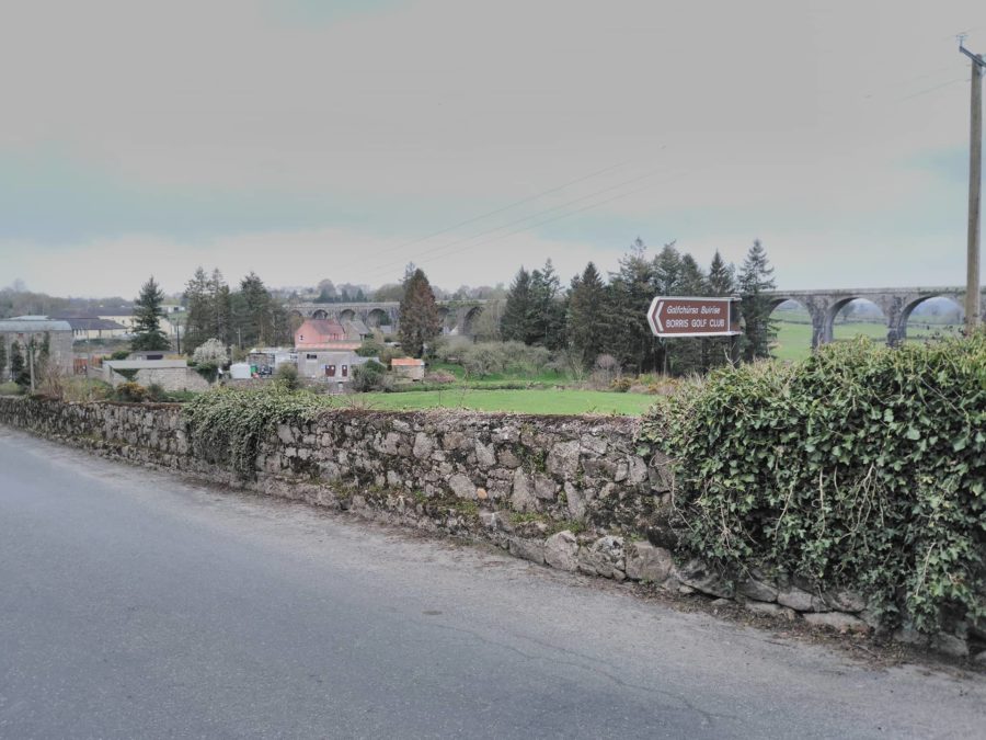 With Borris Fair not going ahead this weekend, the call's out for ...