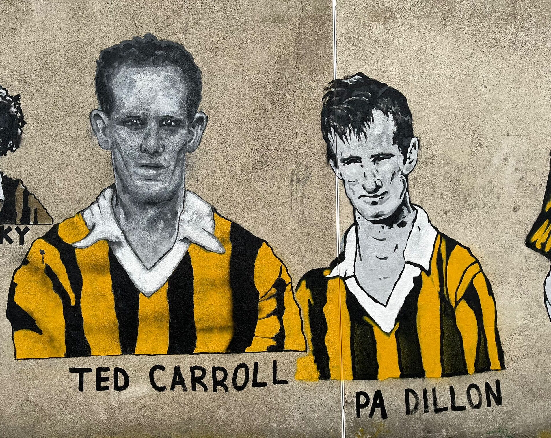 Two more legendary Kilkenny hurlers added to 'heroes' wall