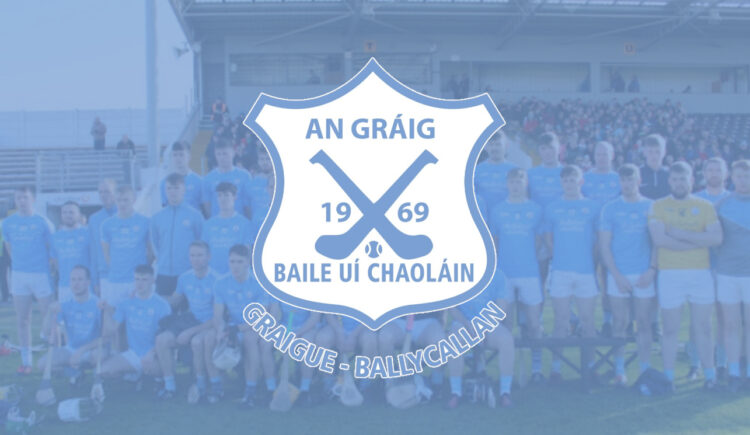 “It's definitely something we need to fix” – Graigue Ballycallan’s ...