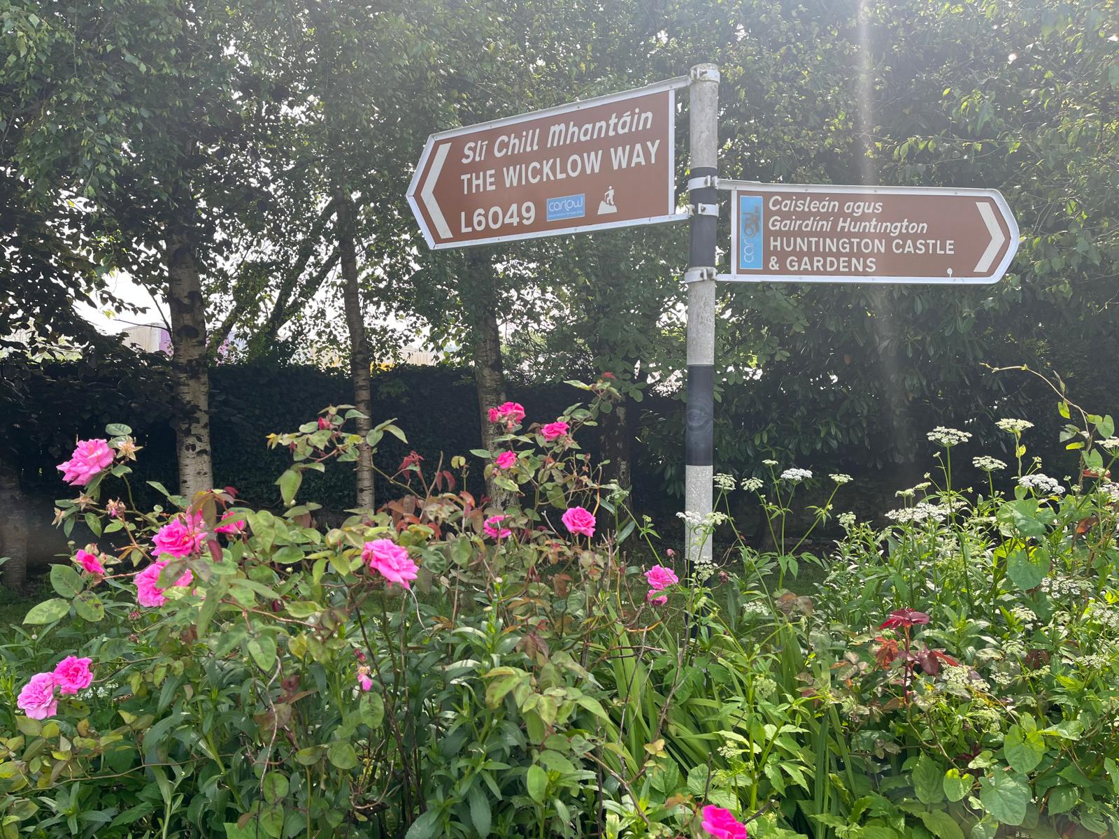 Picturesque County Carlow village set for new audio heritage trail