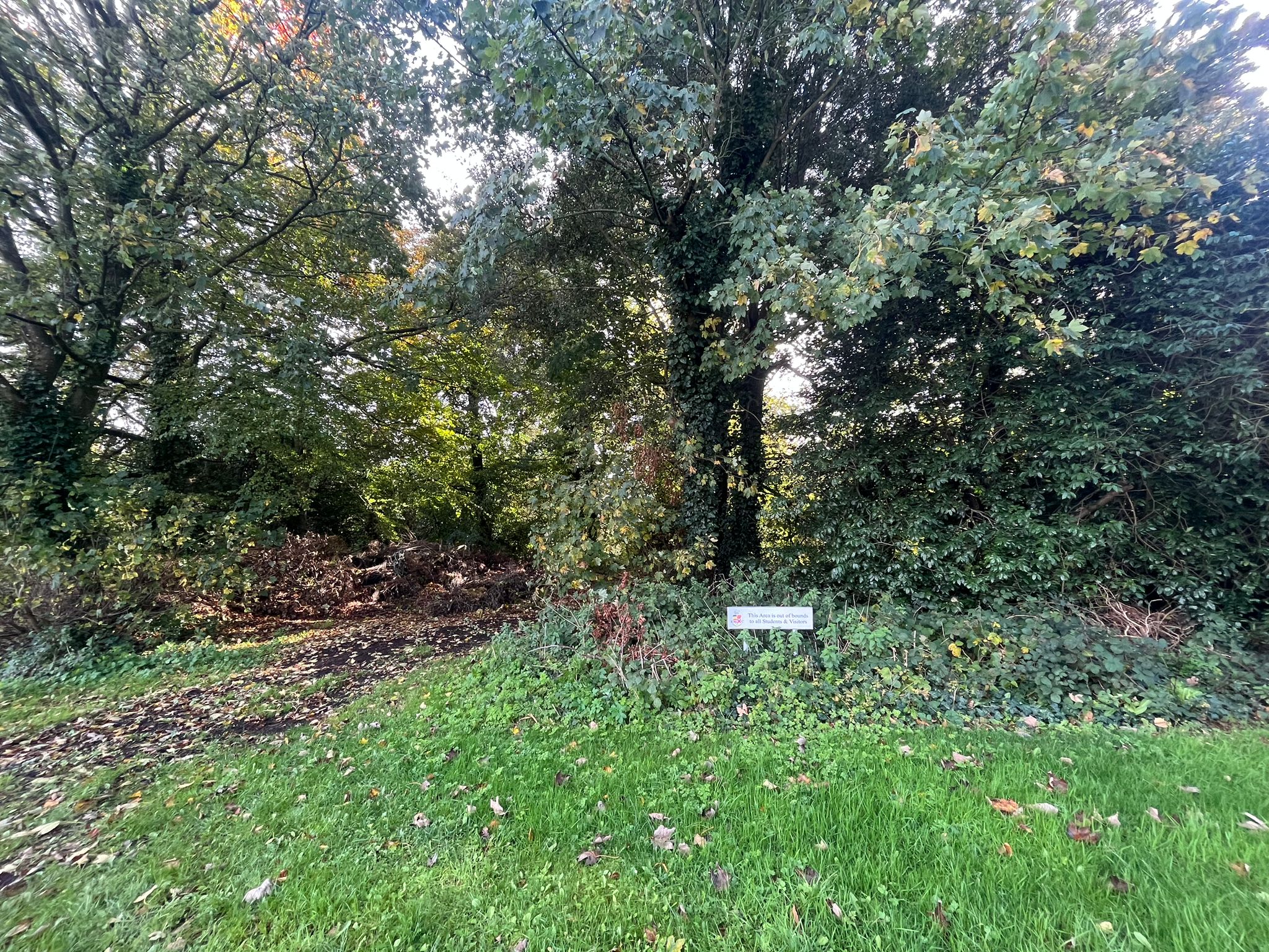 Ours To Protect: Kilkenny College helping to map climate change through ...