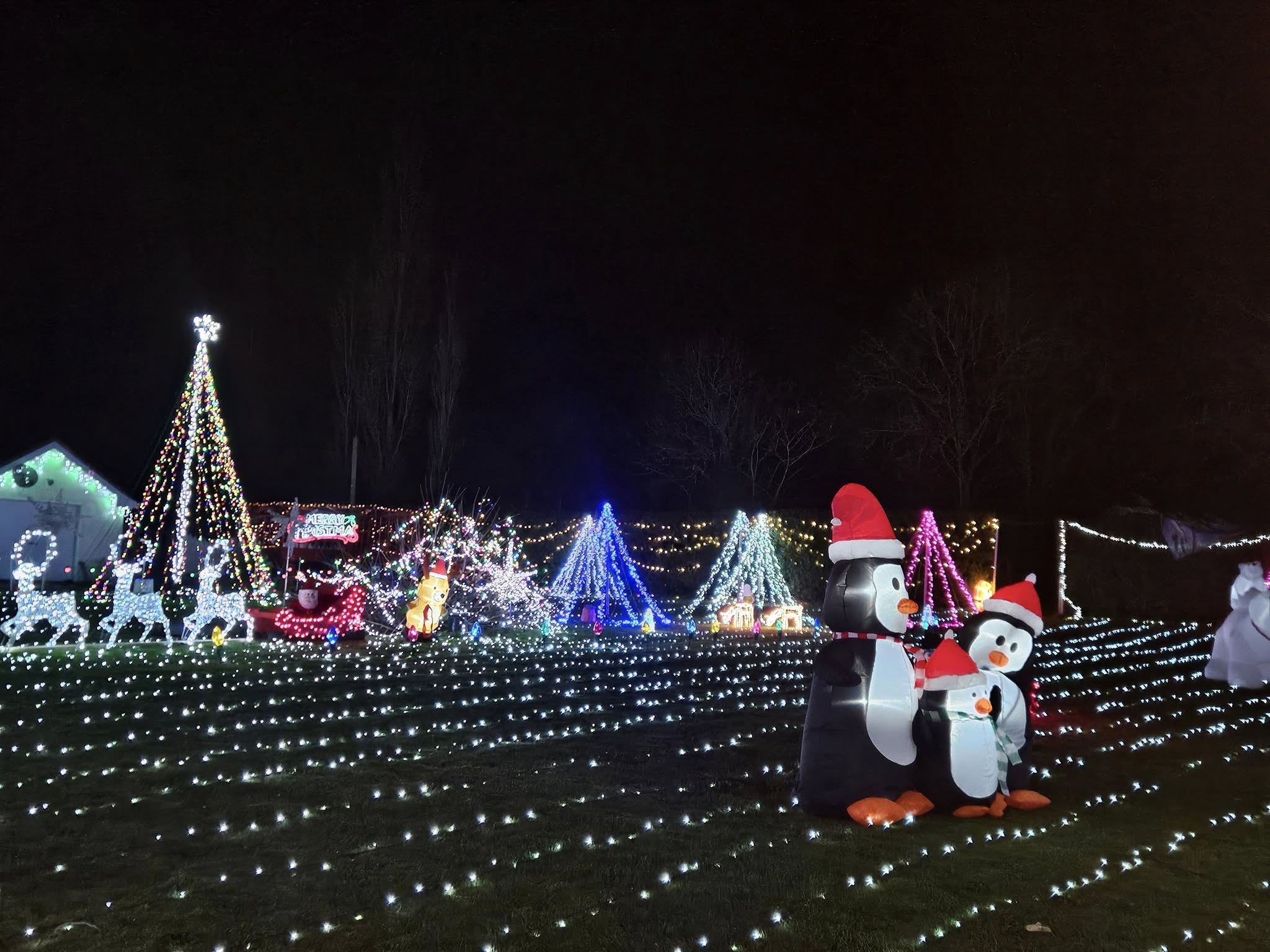 Tinryland Christmas Lights switched on in memory of county Carlow teenager