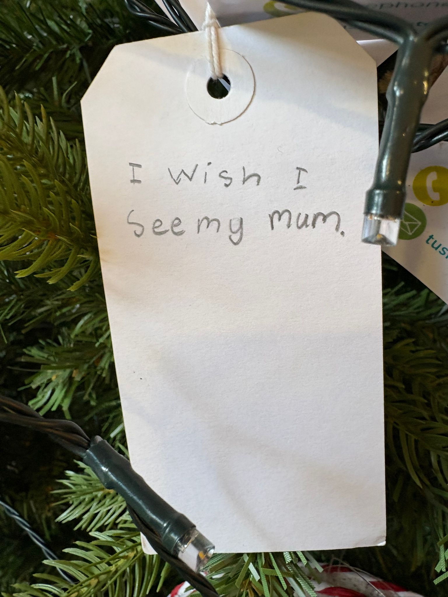 Foster families from across Carlow & Kilkenny unveil messages of hope ...