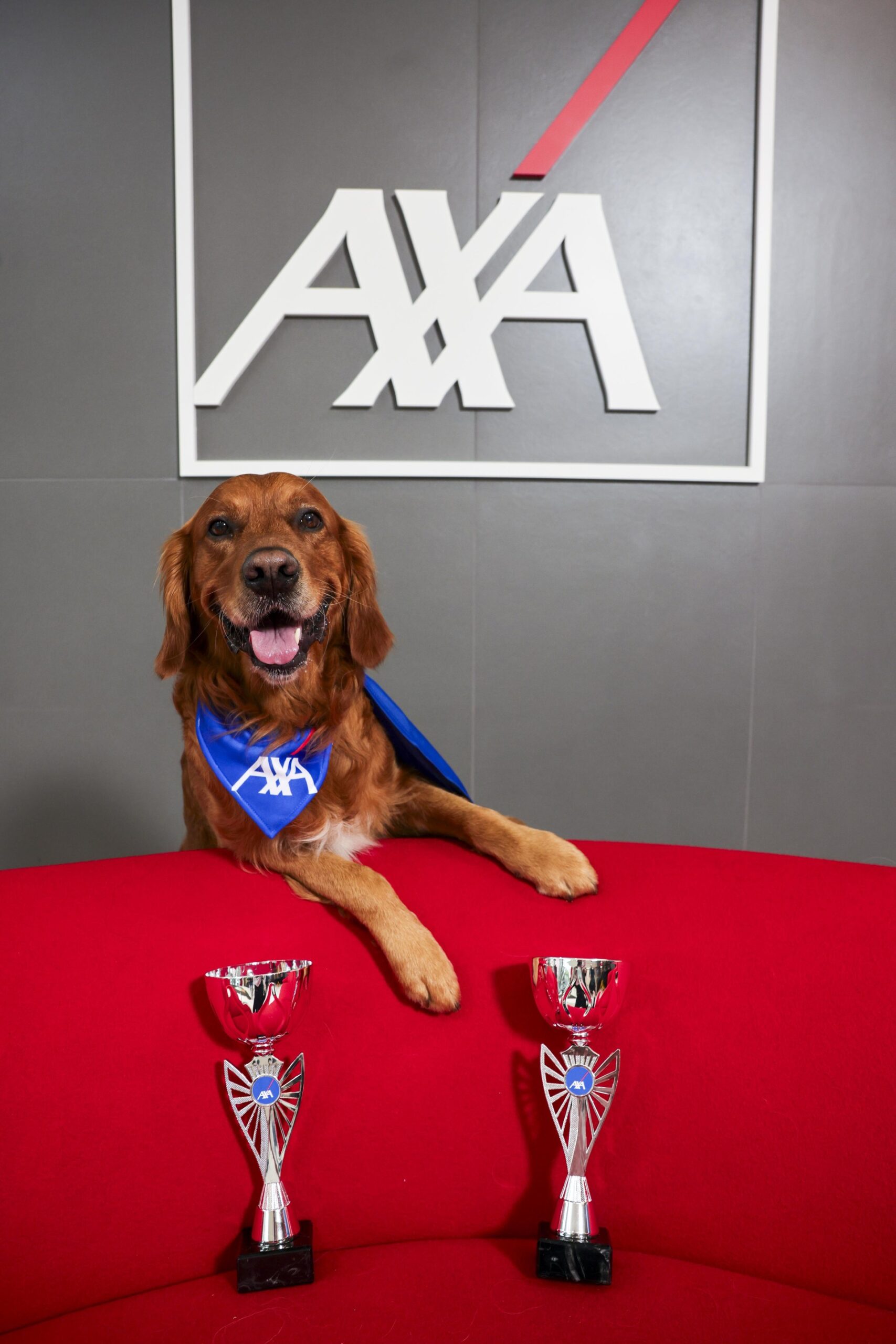 Clock ticking towards nomination deadline for AXA Community Heroes in ...