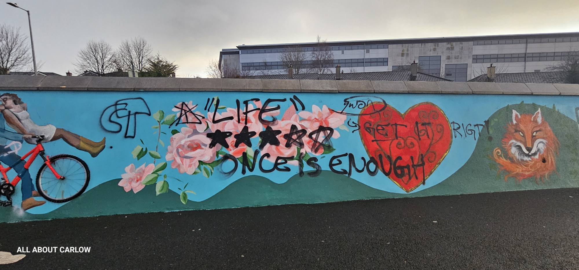 Carlow Mayor Paul Doogue 'disgusted' by defacing of town mural